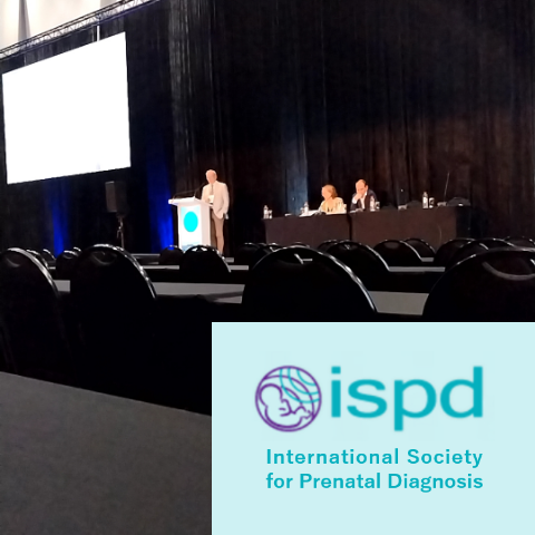 ISPD（国際出生前診断学会）参加 | 医療法人オーク会 不妊ブログ